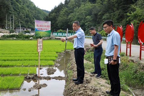 秦永康到百花湖镇调研农业生产暨防汛工作澎湃号·政务澎湃新闻 The Paper
