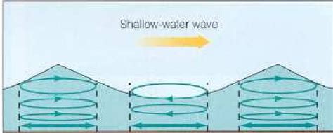 3 Shallow Water Wave 6 Download Scientific Diagram
