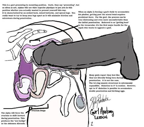 Foto De Anal Outline