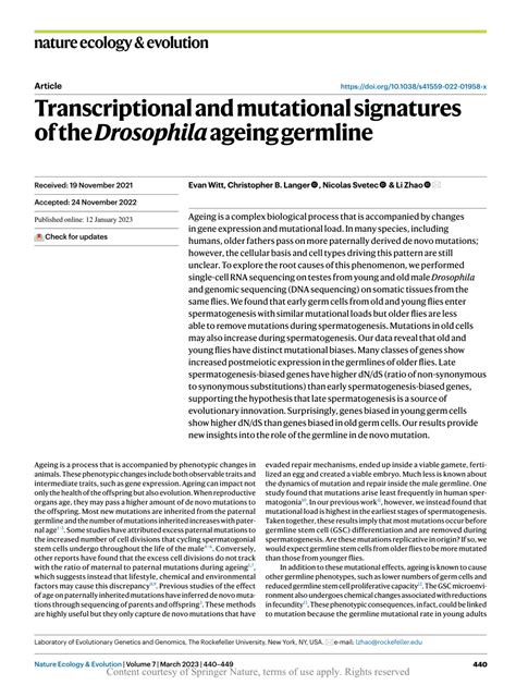 Transcriptional And Mutational Signatures Of The Drosophila Ageing Germline Request Pdf