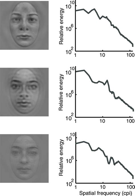 Three Sample Stimuli After Filtering With The Spatial Frequency Sf