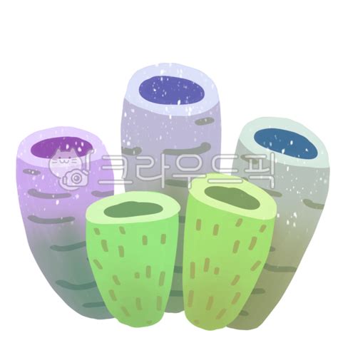 산호 산호초 바다식물 바다 여름 사진이미지일러스트캘리그라피 아름다운별작가