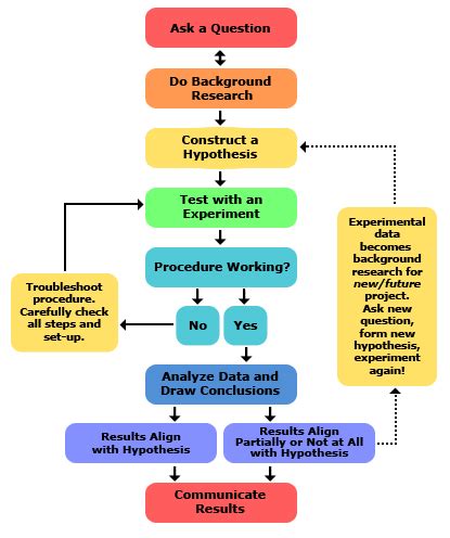 Forensic Science Dictionary Diagram Quizlet