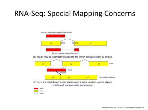 RNASeq Analysis Pipeline For Differential Expression PPT