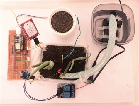 duwini s on linkedin iot ai agritech continuouslearning cybersecurity