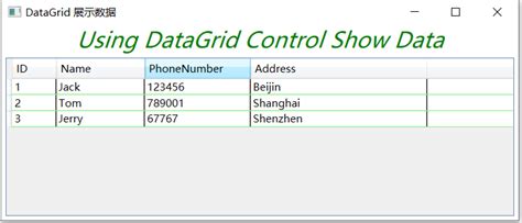 Wpf Datagrid 展示数据 简书