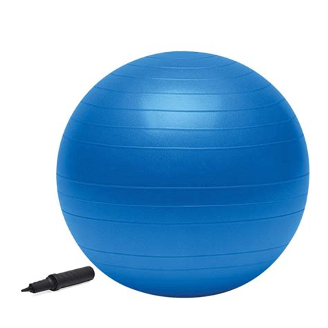Swiss Ball Exercise Ball Physio Ball Gym Ball Best Physio Ball