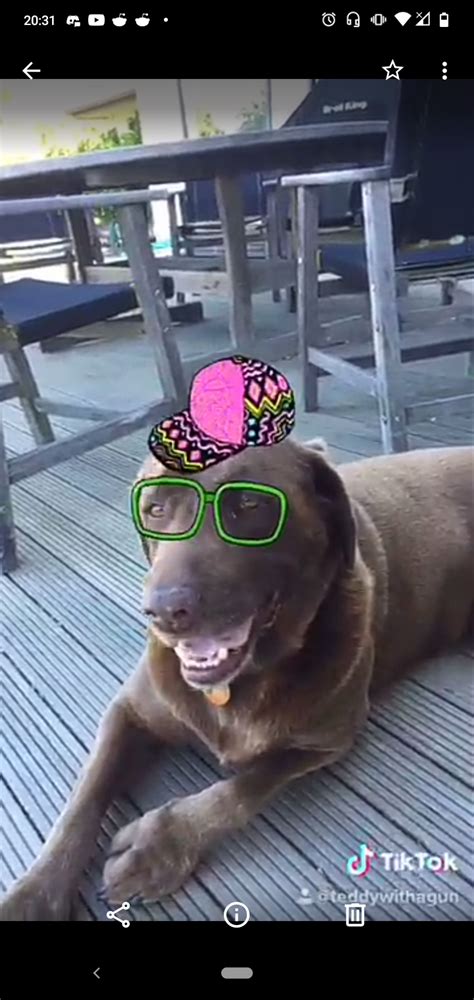 Me When Its My Cake Day Scrolller
