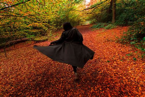 Epping Forest Best Photo Spots