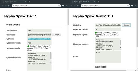 hypha spike webrtc 1 aral balkan