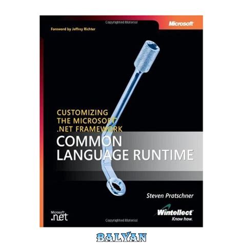 دانلود کتاب Customizing The Microsoft Net Framework Common Language