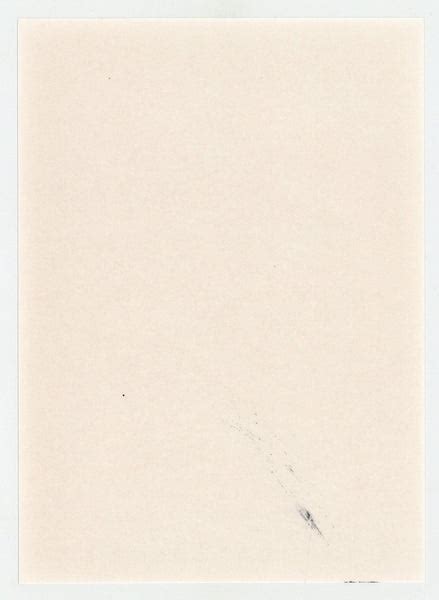 Steve Kelso 1994 Colt Studiojim French 5x7 Gorgeous Beefcake Hairy Ch