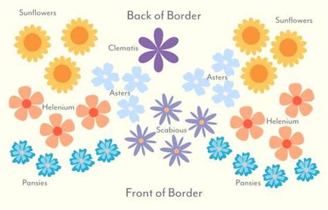 What Plants Are Looking Good In September Border In A Box