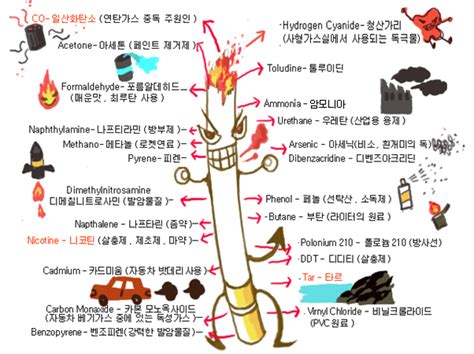 담배의 해로운 영향은 폐암의 원인 섹스 사랑 가족 가족 육아에 대한 지식