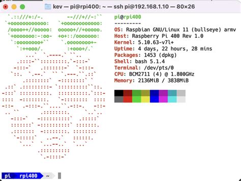 How To Hack The Raspberry Pi Terminal Tldr Using Synthshell