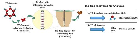 Stable Isotope Probing SIP Enviro Wiki