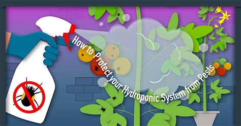 How To Protect Your Hydroponic System From Pests Caliponics