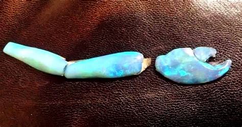 How Do Opalised Fossils Form