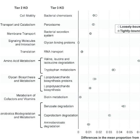 Picrust Predicted Bacterial Functional Gene Content That Was Decreased Download Scientific