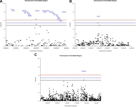 Candidate Qtl Regions On Chromosomes 18 A 15 B And 4 C