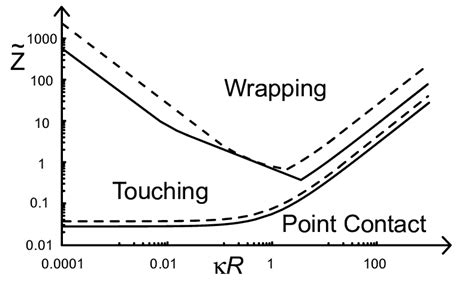 3 Complexation Diagram For The Membrane Colloid System As A Function