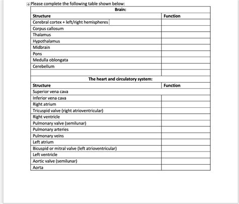 Solved Please Complete The Following Table Shown Below Brain Structure Cerebral Cortex Left