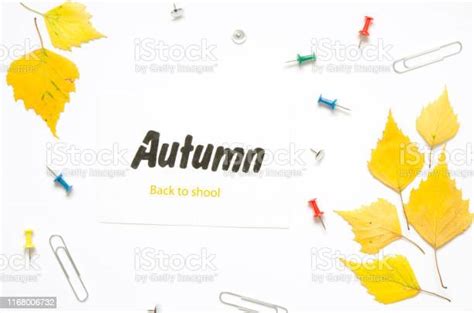 학교 문구와 노란색 단풍은 흰색에 고립 학교 개념으로 돌아갑니다 공간을 복사합니다 맨 위 보기 이미지 10월에 대한 스톡 사진