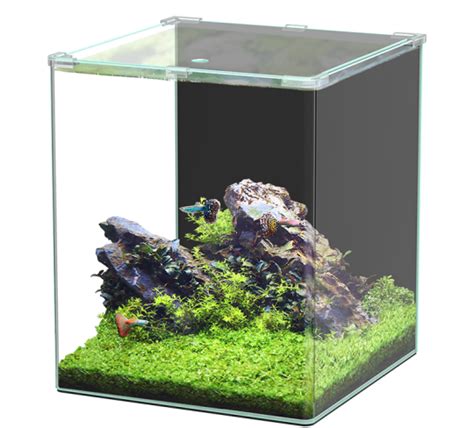 Aquatlantis Cube Curve Essential