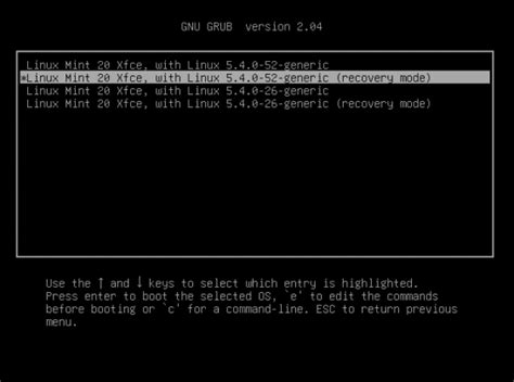 A Comprehensive Guide To Fixing Boot Problems In Linux Mint