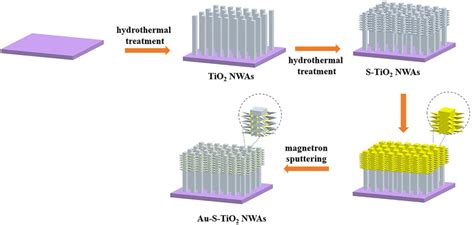 Schematic Diagram Of The Synthesis Process Of Aus Tio2 Nwas Download