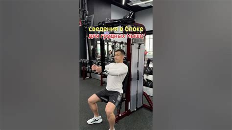 Сведения в тренажере для грудных Youtube