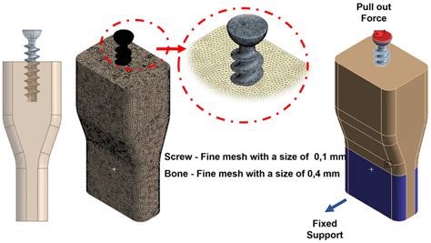 Fea Model And Boundary Conditions Download Scientific Diagram