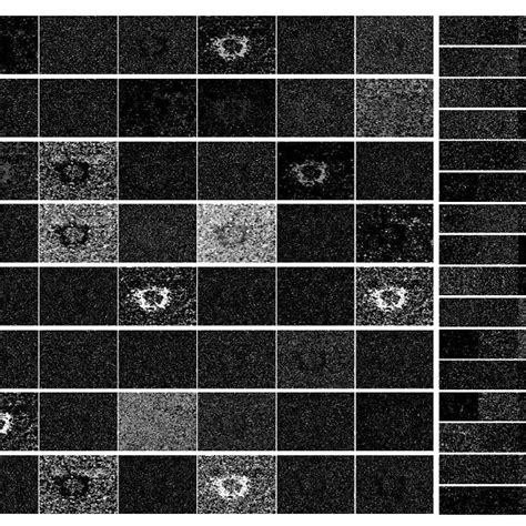 Activations On The First CONV Layer Left And The Th CONV Layer Download Scientific Diagram