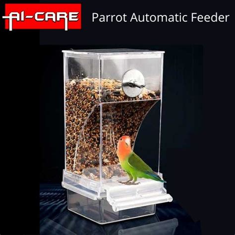 High Quality Parrot Automatic Bird Food Feeder Acrylic Bird Feeder Feeding Device Bekas Makanan