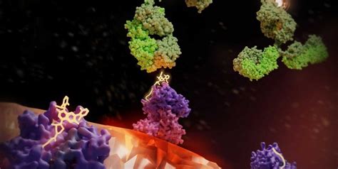 Reviving Hope How A Previously Failed Cancer Drug Is Reimagined As A