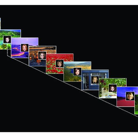 Relational Memory Task For Face Scene Pairings Test Trials Are Download Scientific Diagram