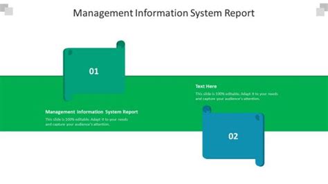 Management Information System Report Powerpoint Presentation And Slides Ppt Powerpoint Slideteam