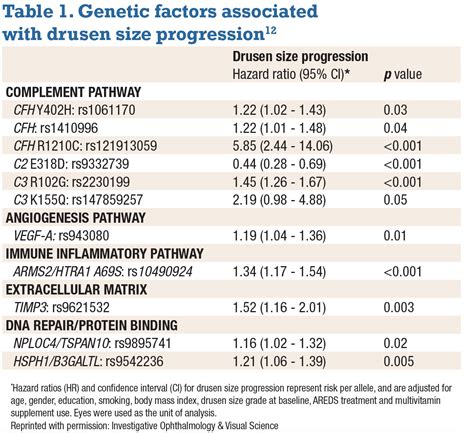 where genetics diet and drusen size intersect