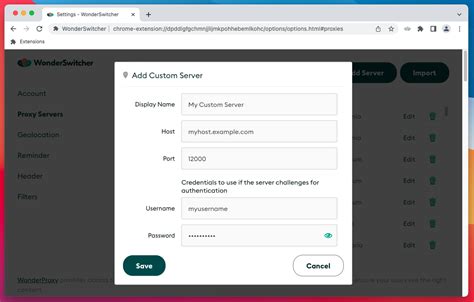 Browser Extension Add On Proxy Setup Wonderproxy