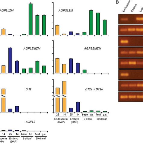Transcript Abundance A Rna Seq Whole Transcriptome Sequence Data Download Scientific Diagram
