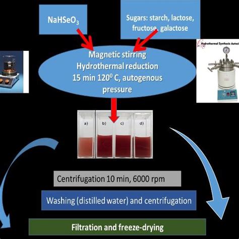 Pdf Selenium Nanoparticles Production Characterization And Possible Applications In