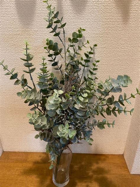 私の癒し 右片麻痺になった旦那をもつ 私の日常ブログ