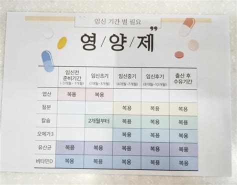임산부 초기 영양제 복용 시기와 방법 정리 네이버 블로그