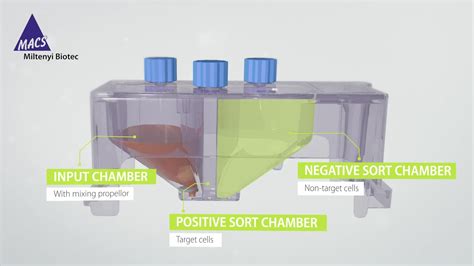 Gmp Compliant Cell Sorting Macsquant Tyto Cell Sorter Miltenyi