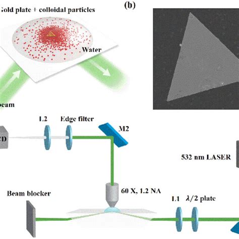 A Schematic Illustration Of The Assembly Of Colloidal Particles On