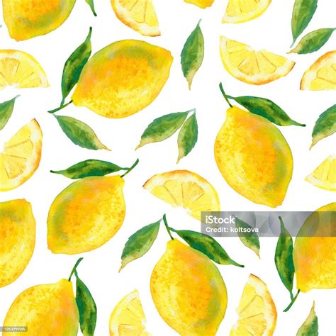 원활한 수채화 감귤류 패턴 흰색 배경에 밝은 여름 과일 원활한 레몬 포장지 직물 직물 벽지 등을위한 수채화 그림 감귤류 과일에 대한 스톡 벡터 아트 및 기타 이미지 Istock