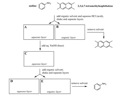 Solved Based On Your Knowledge Of Acid Base Chemistry And