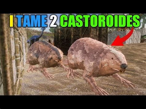 I Tame Castoroides Ark Solo Ep12 Youtube