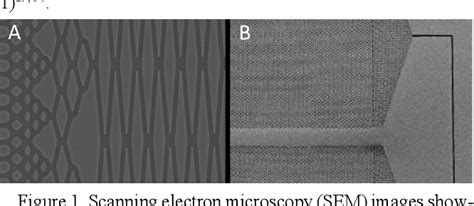 Figure 1 From A Well Ordered Nanoflow Lc Msms Approach For Proteome