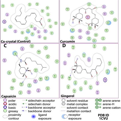 Concept Of Dual Cox 1 2 And 5 Lox Inhibition Download Scientific Diagram